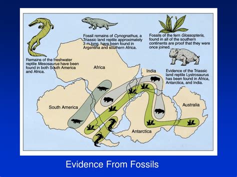 Ppt Tectonic Plates And Their Motions Powerpoint Presentation Free Download Id 9444790
