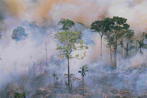 Ais Potential For Wildfire Detection A Critical Examination