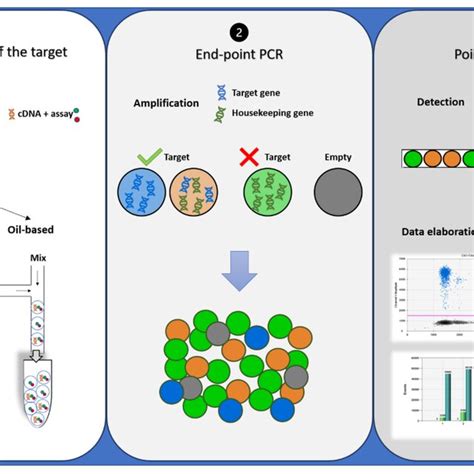 Description Of Droplet Pcr Workflow 1 Pcr Reaction Mixtures For Each