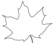 Blatt Kontur Illustration Clipart Kostenloses Stock Bild Public Domain Pictures