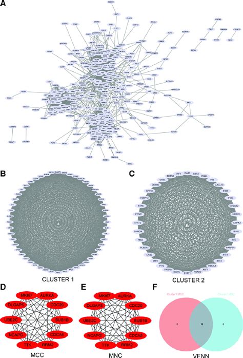 Construction And Analysis Of Protein Protein Interaction Ppi Network