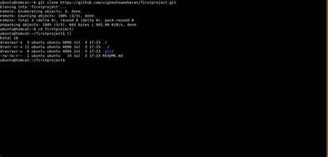 How To Clone The Github Public Repository DevopsPilot