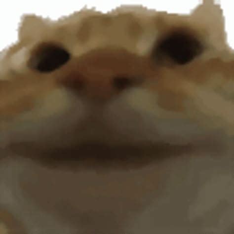  Emotes For Discord