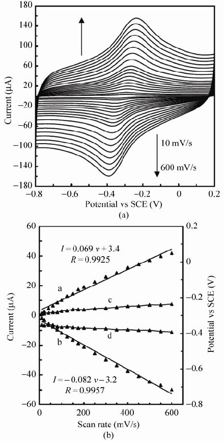 Cyclic Voltammograms A And The Plots Of Peak Currents And Peak Anodic