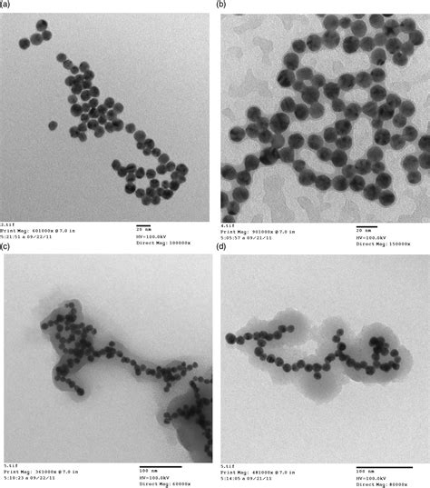 Synthesis And Characterization Of Dye Doped Au Sio2 Core Shell Nanoparticles For Super