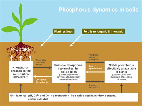 Ks Minerals And Agriculture Gmbh Phosphorus