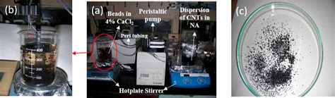 Functionalized Carbon Nanotubes Encapsulated Alginate Beads For The Removal Of Mercury Ions