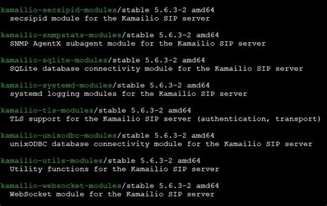 Kamailio Part 1 Install Kamailio 6 On Debian 12 With Mysql Support Hotkey404