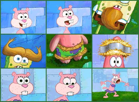 Spongebob Survival Of The Idiots