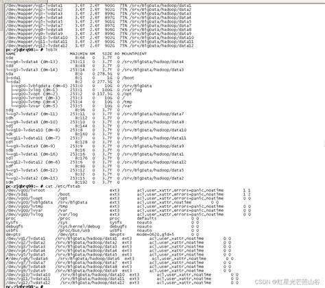 hdfs集群数据节点巡检和修复 hdfs 检查节点 csdn博客