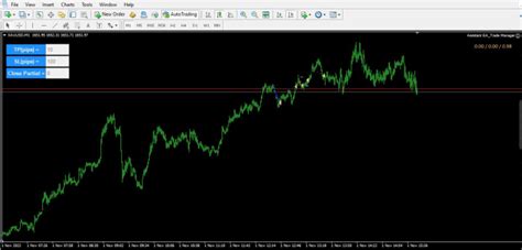 Create Fully Or Semi Automated Expert Advisor In Mt4 By Roneiljaropojop Fiverr