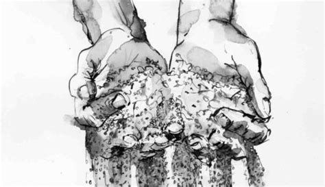 Embracing Complexity Book By Jean Boulton