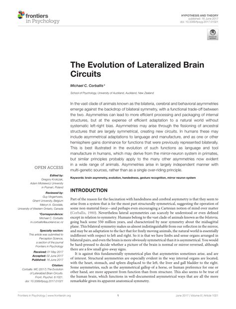 Pdf The Evolution Of Lateralized Brain Circuits