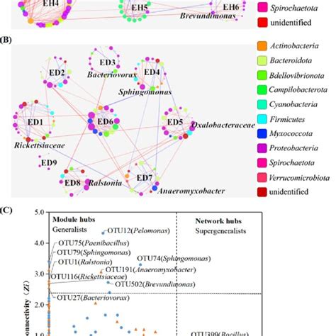 Overview Of Microbial Networks And Topological Roles A And B Graphs Download Scientific