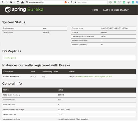 Crash Course Spring Cloud Netflix Eureka Part 13