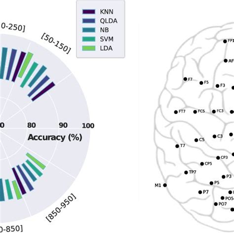 Eeg Activity For The Parietal And Central Cortex Electrodes A C Download Scientific Diagram