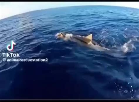 Taha Qureshi Posted On Linkedin