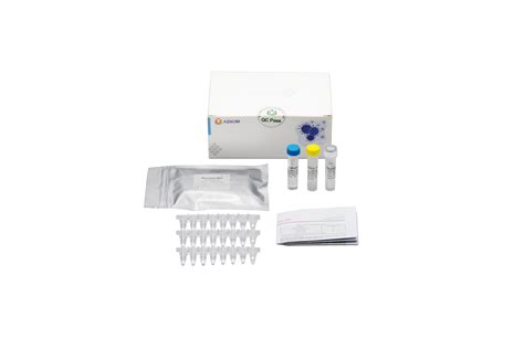 Human Papilloma Virus Hpv Nucleic Acid Detection Kit Hpv Tests Hpv Pcr Test Kit And Nucleic