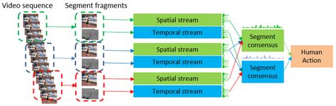 temporal segment network wang et al 2016 download scientific diagram