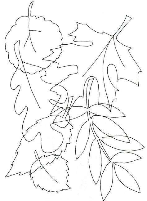 Обучение счёту дошкольников Сосчитайте листочки на картинке