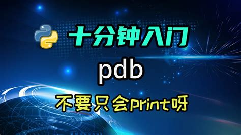 【python】来学学debugger吧，不能只会用print调试呀！ youtube
