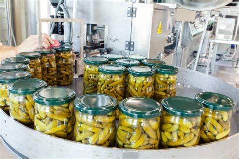 Automatic Pickle Packing Machine Solution Levapack
