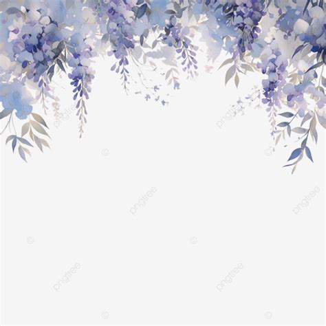 등나무 식물 꽃 테두리 그림 등나무 꽃 식물 보태니컬 PNG 일러스트 및 이미지 에 대한 무료 다운로드 Pngtree