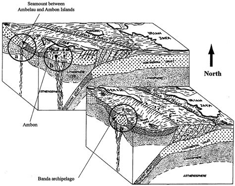Schematic Cross Section Through The Ambon Arc Showing Subduction Of Download Scientific Diagram