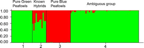 Genetic Clustering Analysis Using Structure With An Assumption Of Two Download Scientific