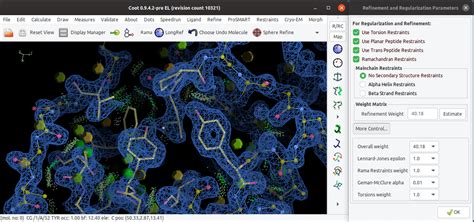 Dynamic Weights Coot Development Blog
