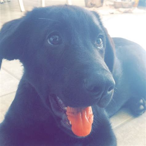 Aopolaq P88zi8jlutubexxwrdfxravcdb3mtmoy3yu4s900 C K C0x00ffffff No Rj