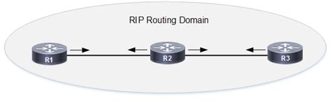 Dynamic Routing Protocols Ospf Eigrp Ripv2 Is Is Bgp Cisco Community