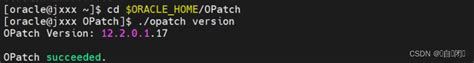 Oracle19c单机静默安装及补丁升级oracle补丁安装 Csdn博客