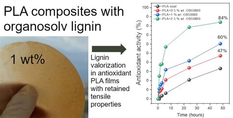 Synthesis And Characterization Of Polylactic Acid Composites With