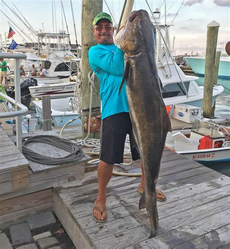 Njdep Fish And Wildlife Highlights And Photos Of Nj State Record