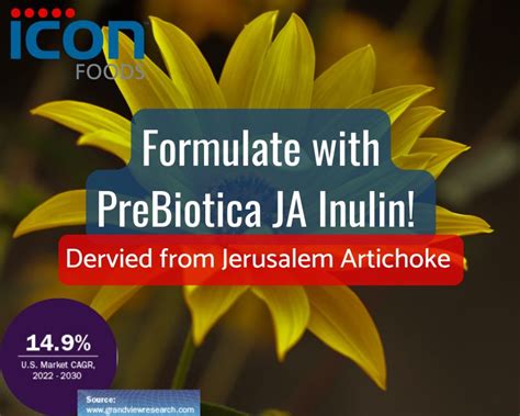 Prebiotic Inulin Sugarreplacement Confectionary Gummies