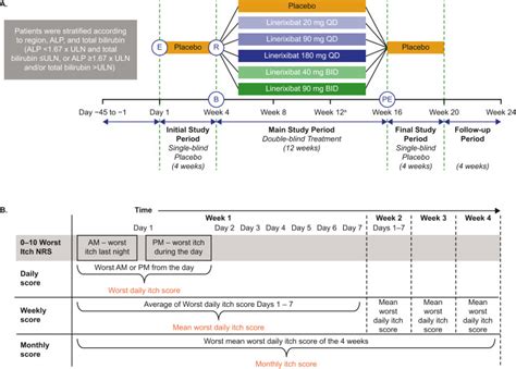 Glimmer A Randomized Phase 2b Dose Ranging Trial Of Linerixibat In Primary Biliary Cholangitis