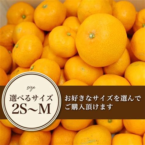 【楽天市場】【 冷凍 】選べる サイズ 2s ~ M 皮ごと 冷凍 三ヶ日 早生 みかん 小粒 小玉 2キロ 国産 三ヶ日みかん 三ヶ日