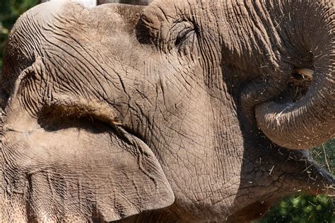 Loading Files Into Bigquery Using Python To Ingest Parquet And Csv By Bence Komarniczky