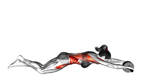 Female Wheel Rollout Ultimate Exercise Guide And Tips