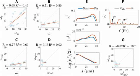 flagellar rolling and head spinning hydrodynamic modulation and 2d