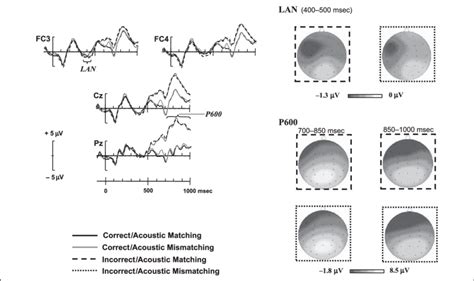 Erps To Syntactically Correct And Incorrect Adjectives Referred To A Download Scientific