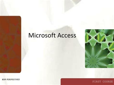 PPT - Microsoft Access PowerPoint Presentation, free download - ID:5463160