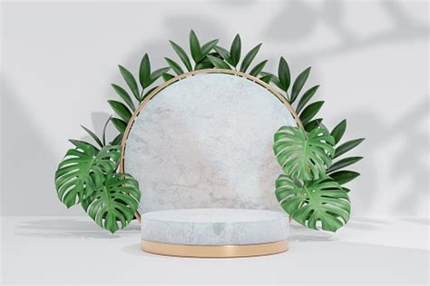 화장품 디스플레이 제품 스탠드 흰색 배경에 녹색 잎 공장투명 대리석 흰색 실린더 연단 3d 렌더링 그림 0명에 대한 스톡 사진