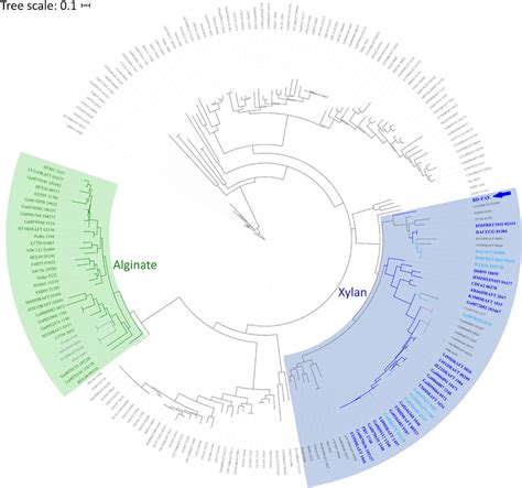 The Crystal Structure Of Bd Fae A α Helices Are Shown In Brown And