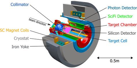 overview of the recoil detector download scientific diagram