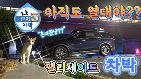9월날씨이게 맞나요 열대야 스텔스 차박 팰리세이드차박 스텔스차박 차박 여름차박 미니멀차박 캠핑 슬램덩크