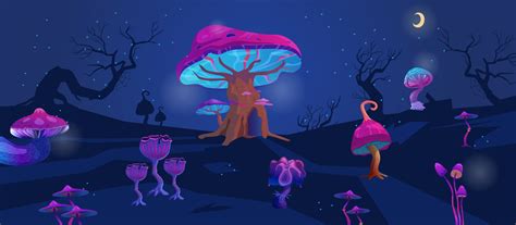 Night Landscape With Magic Glowing Mushrooms Cartoon Vector