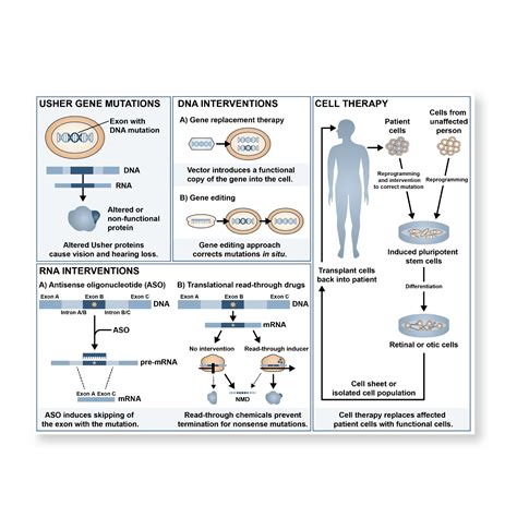 Scientific Graphic Design For Figures Abstracts Publications