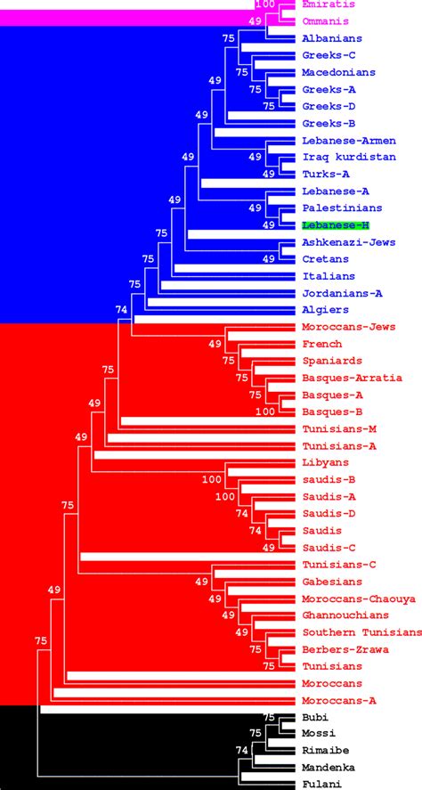Neighbor Joining Dendrograms Upgma Based On Standard Genetic